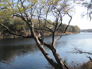 North Central Florida Regional Planning Council – North Central Florida ...